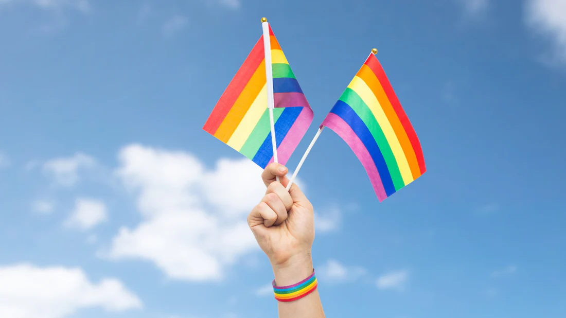 Why the Plus Sign Matters: Decoding LGBT+ and LGBTQIA+ - SVAKOM – SVAKOM UK